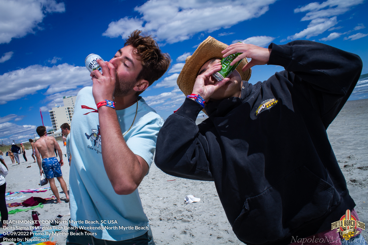 Bikini Contest – Beachmonkey